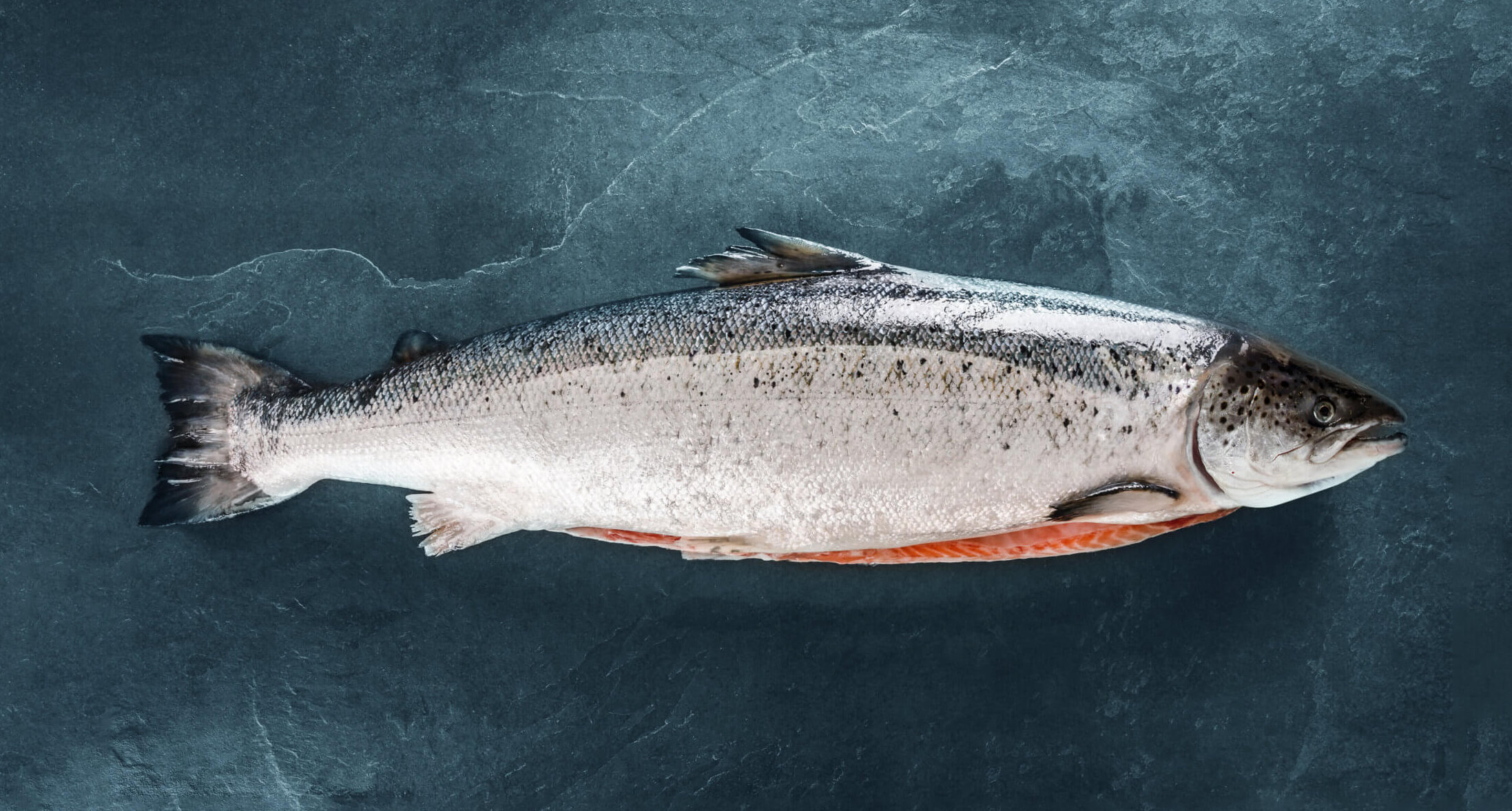 Quality shaped at every stepof the value chain – Sjór