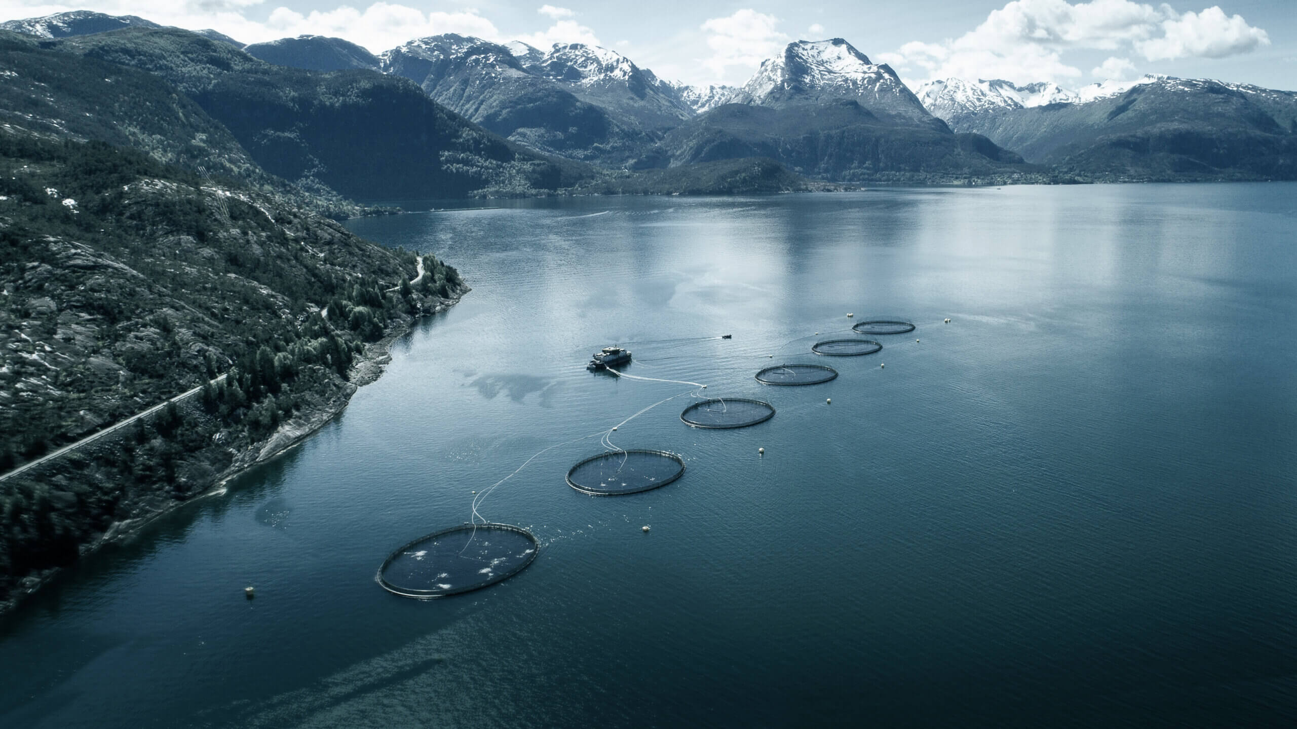 From farm to fork – Sjór