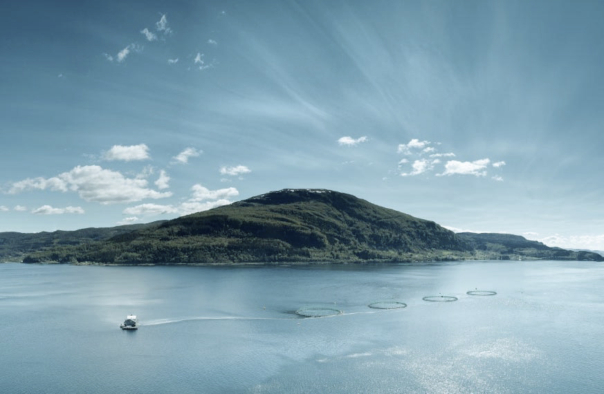 From farm to fork – Sjór